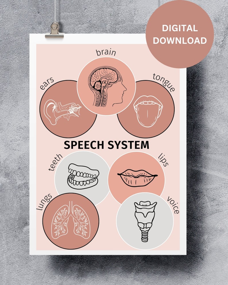 Buy Speech System Poster Visuals for Speech: Lungs Voice Online in India - Etsy