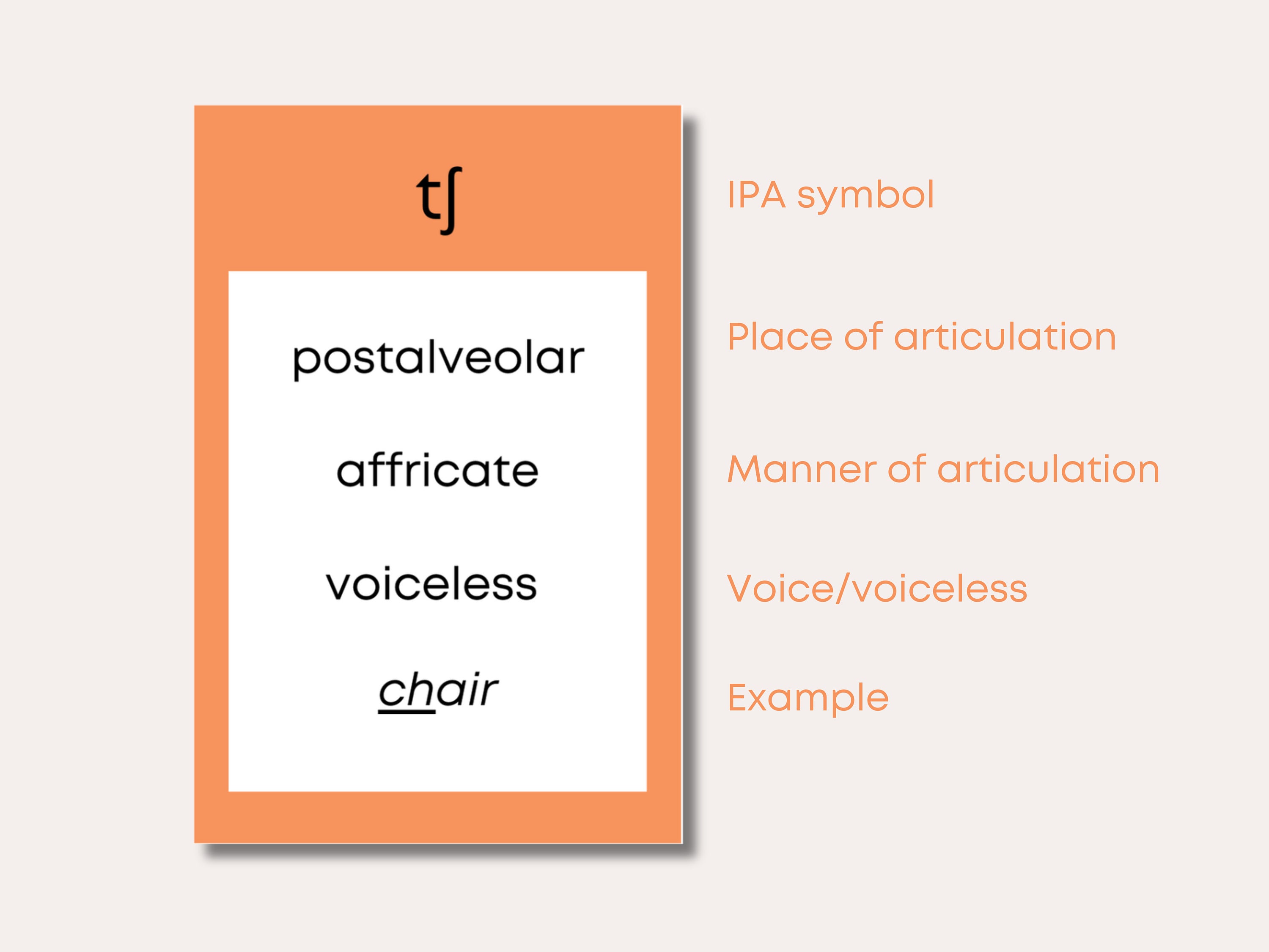IPA Flashcards | Printable Speech Therapy Cards | Digital Study ...