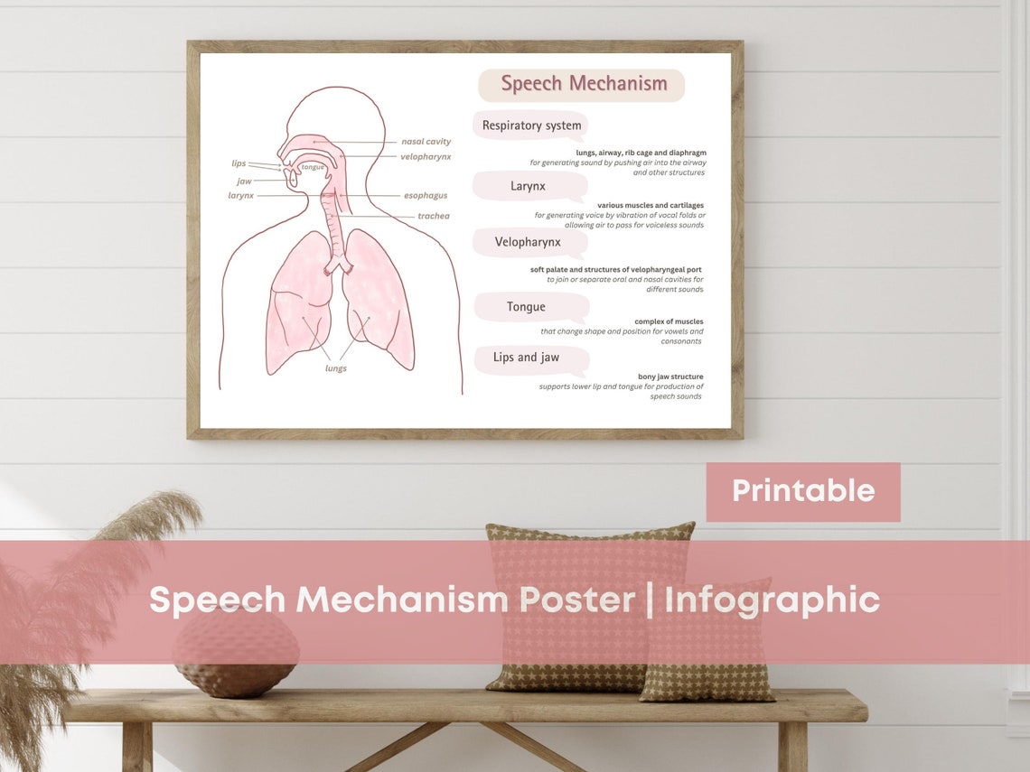 Speech Mechanism Anatomy Poster | SLP Therapy Office Decor (digital ...