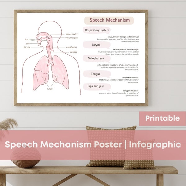 Speech Anatomy Art - Etsy