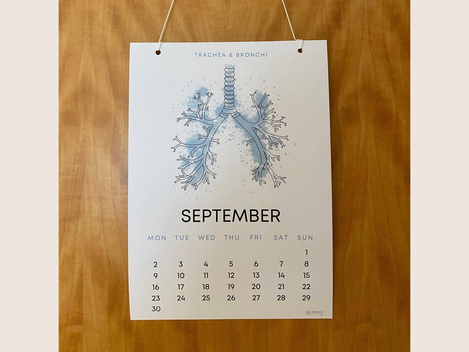 2024 Speech Pathology Calendar Printable Vertical A4 Letter A3 A5 PDF ...