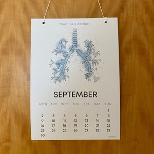 2024 Speech Pathology Calendar Printable Vertical A4 Letter A3 A5 PDF ...