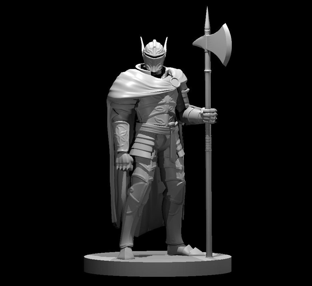 Human Paladin | Dungeons and Dragons Characters | Tabletop Minis ...