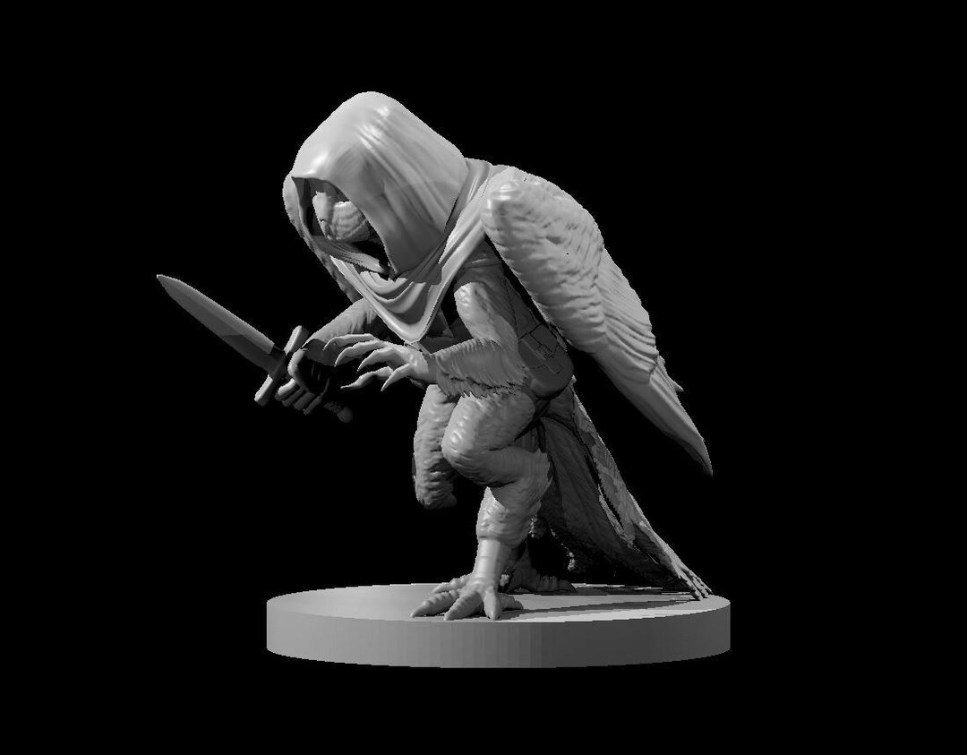 Owlin Rogue | Dungeons and Dragons Characters | Tabletop Minis | MZ4250 ...