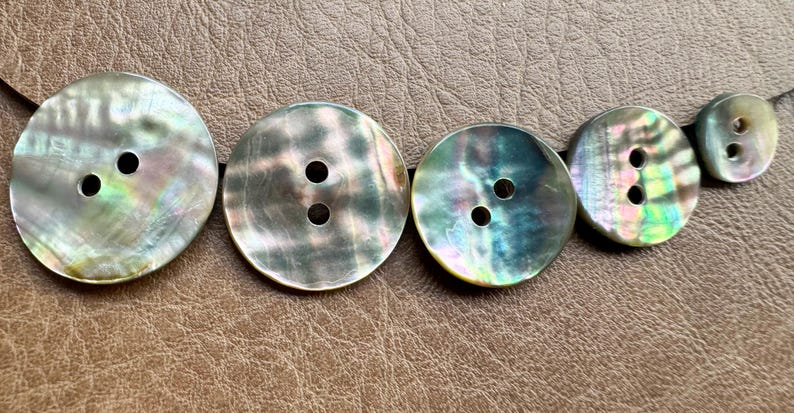 Abalone Shell Buttons,gold Buttons,natural Shell Buttons,high-grade ...