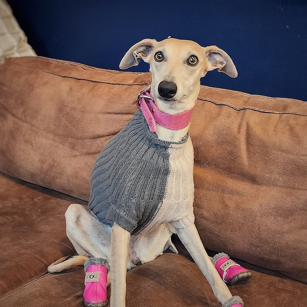 Whippet/greyhound Jumper - Etsy