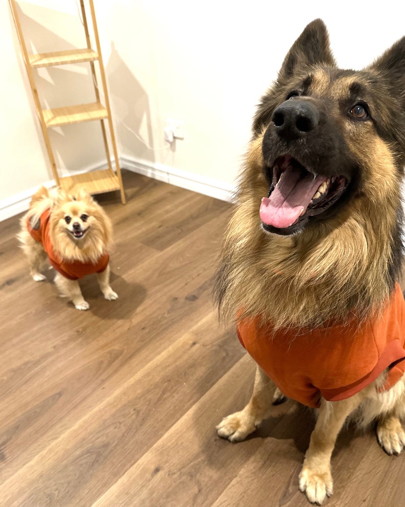 Polar Fleece Pet Snug: Hendricks and Maple Fleece Top Dog Cat Puppy - Etsy