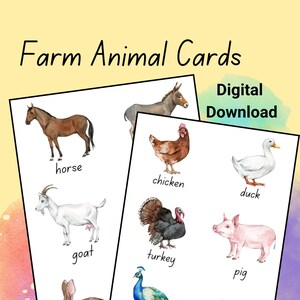 Farm Animal Flash Cards, Montessori Materials, Animal Cards, Learning ...