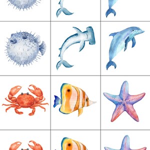 Sea Animal Matching Game, Classroom Learning Materials and Games ...