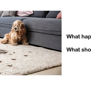 English Powerpoint Lesson, Cleaning the House, Inter ESL Class, PPT ...