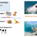 English Lesson Ocean Life, ESL Powerpoint Lesson, Online PPT Lesson ...
