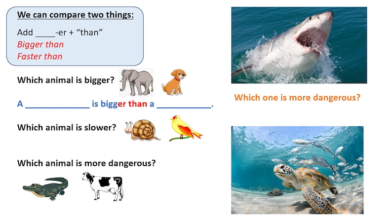 English Lesson Ocean Life, ESL Powerpoint Lesson, Online PPT Lesson ...
