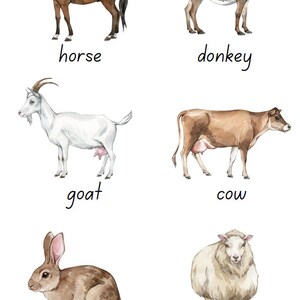 Farm Animal Flash Cards, Montessori Materials, Animal Cards, Learning ...