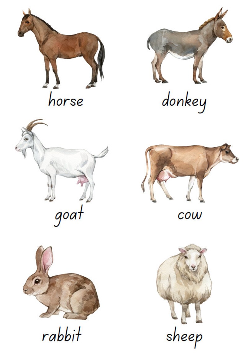 Farm Animal Flash Cards, Montessori Materials, Animal Cards, Learning ...