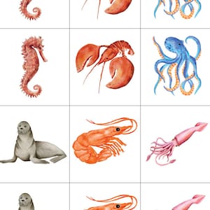 Sea Animal Matching Game, Classroom Learning Materials and Games ...