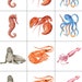 Sea Animal Matching Game, Classroom Learning Materials and Games ...