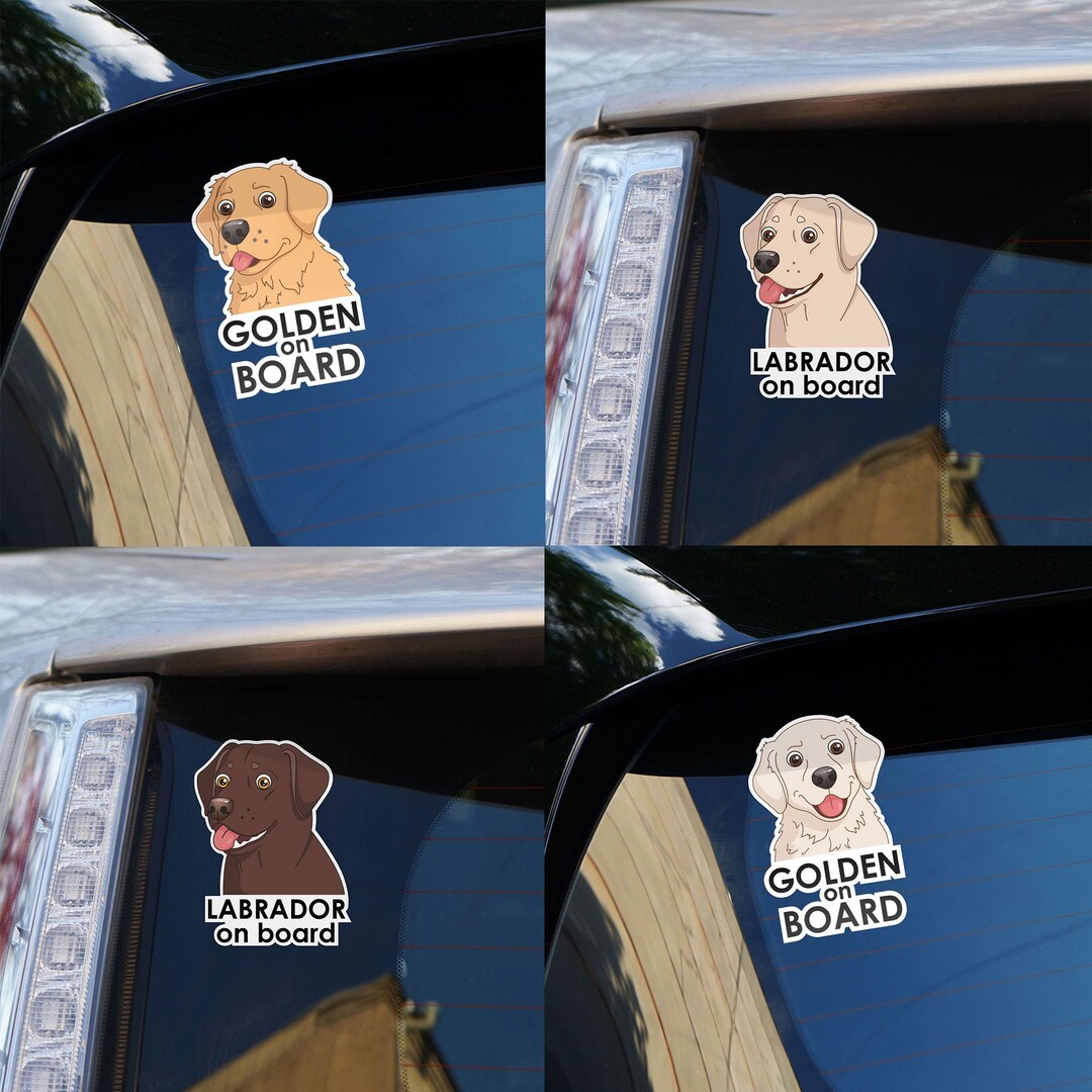 Labrador/golden Retriever on Board Car Sticker - Etsy