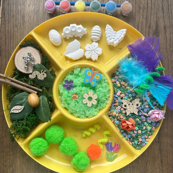 Butterfly Life Cycle - Etsy UK