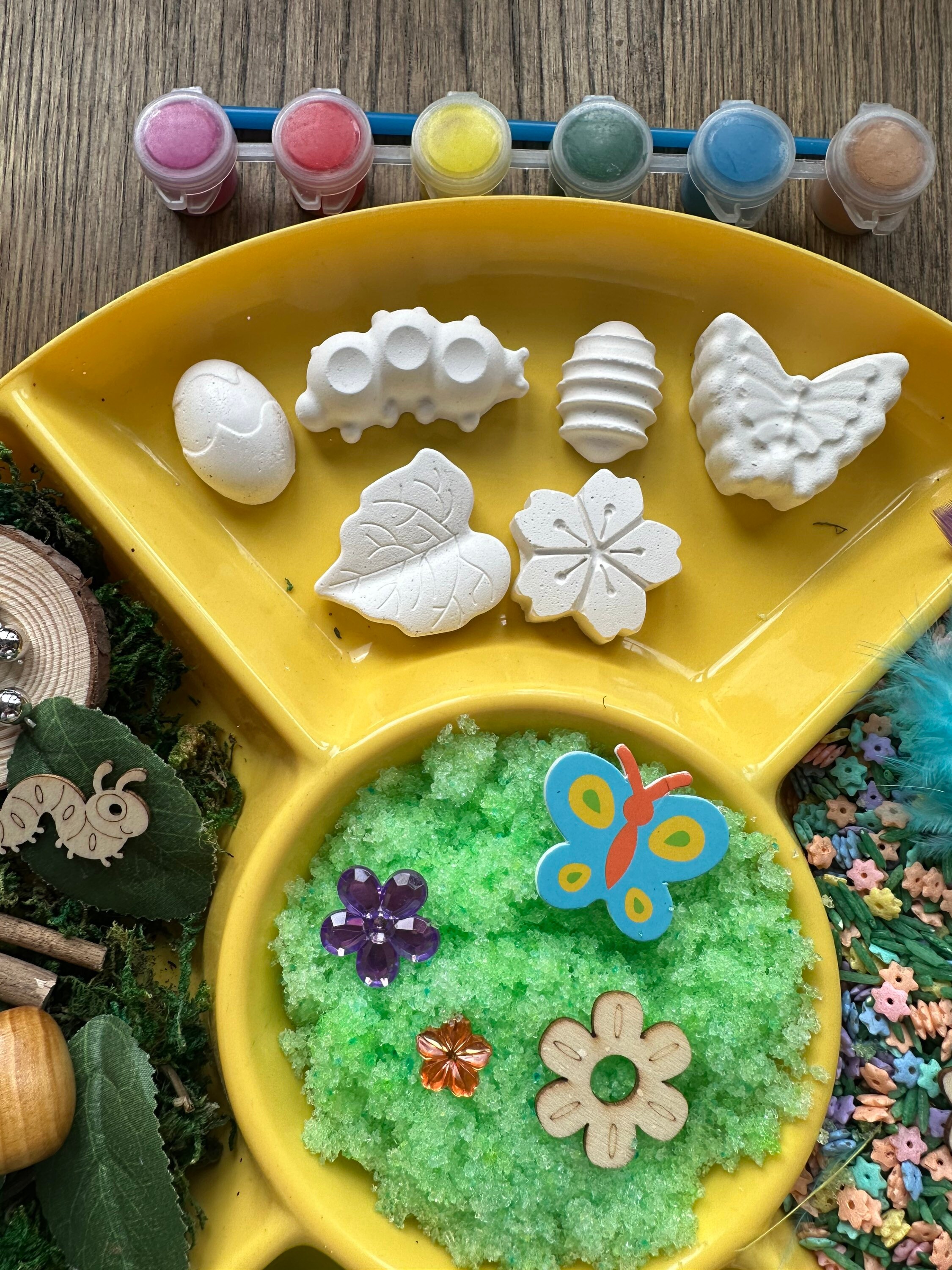 Butterfly Life Cycle Sensory Kit - Etsy