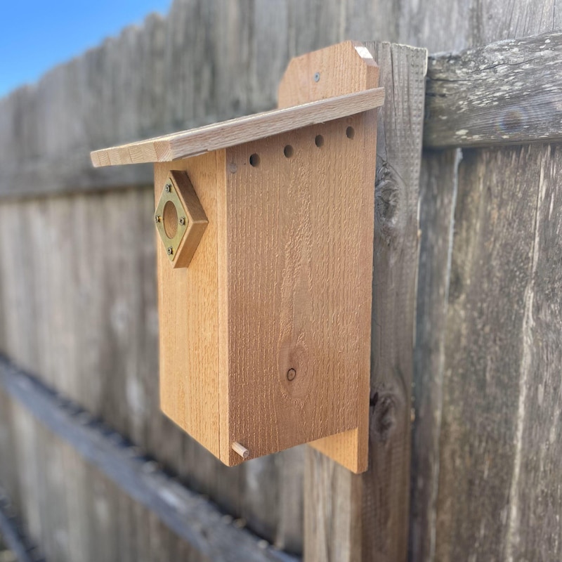 Bird House Predator Guard - Etsy