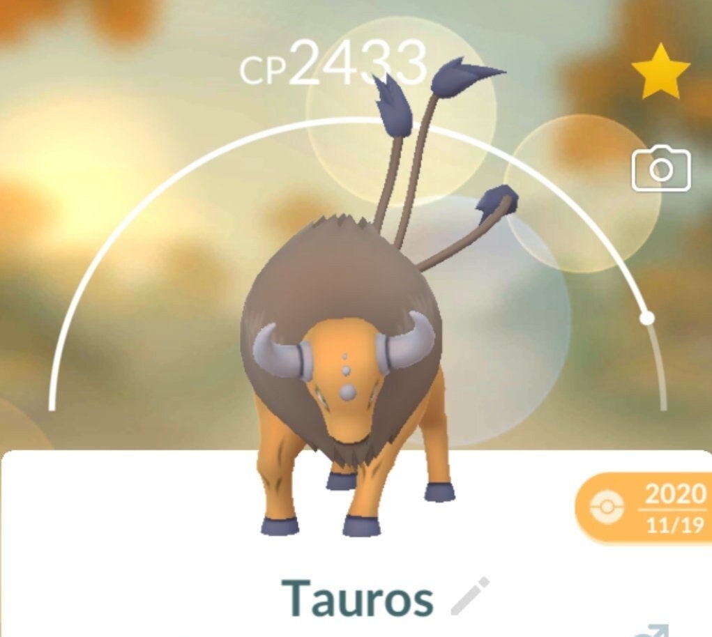 Pokemon Tauros