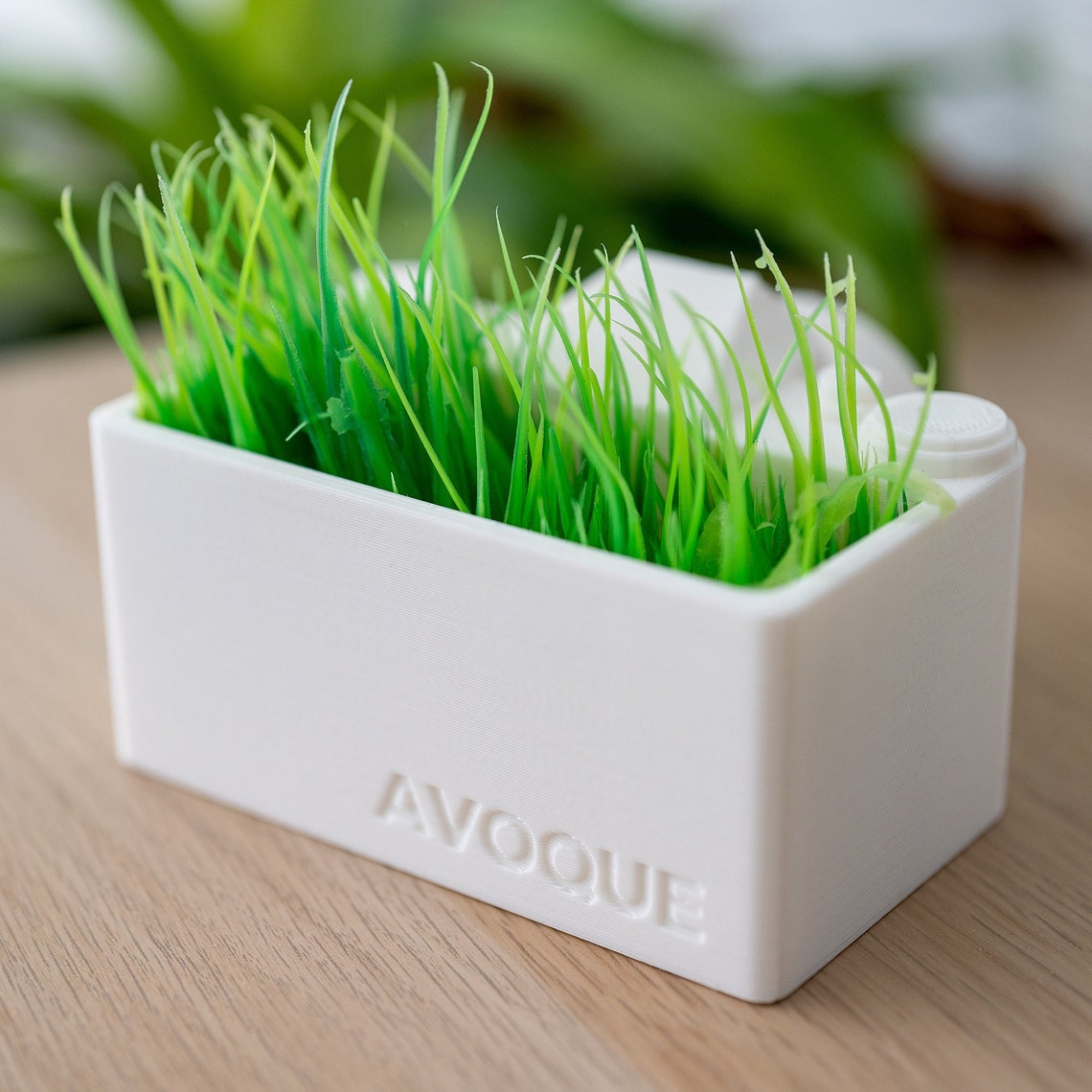 Camera Planter, Camera Flower Pot, Planter, Home Decor - Etsy