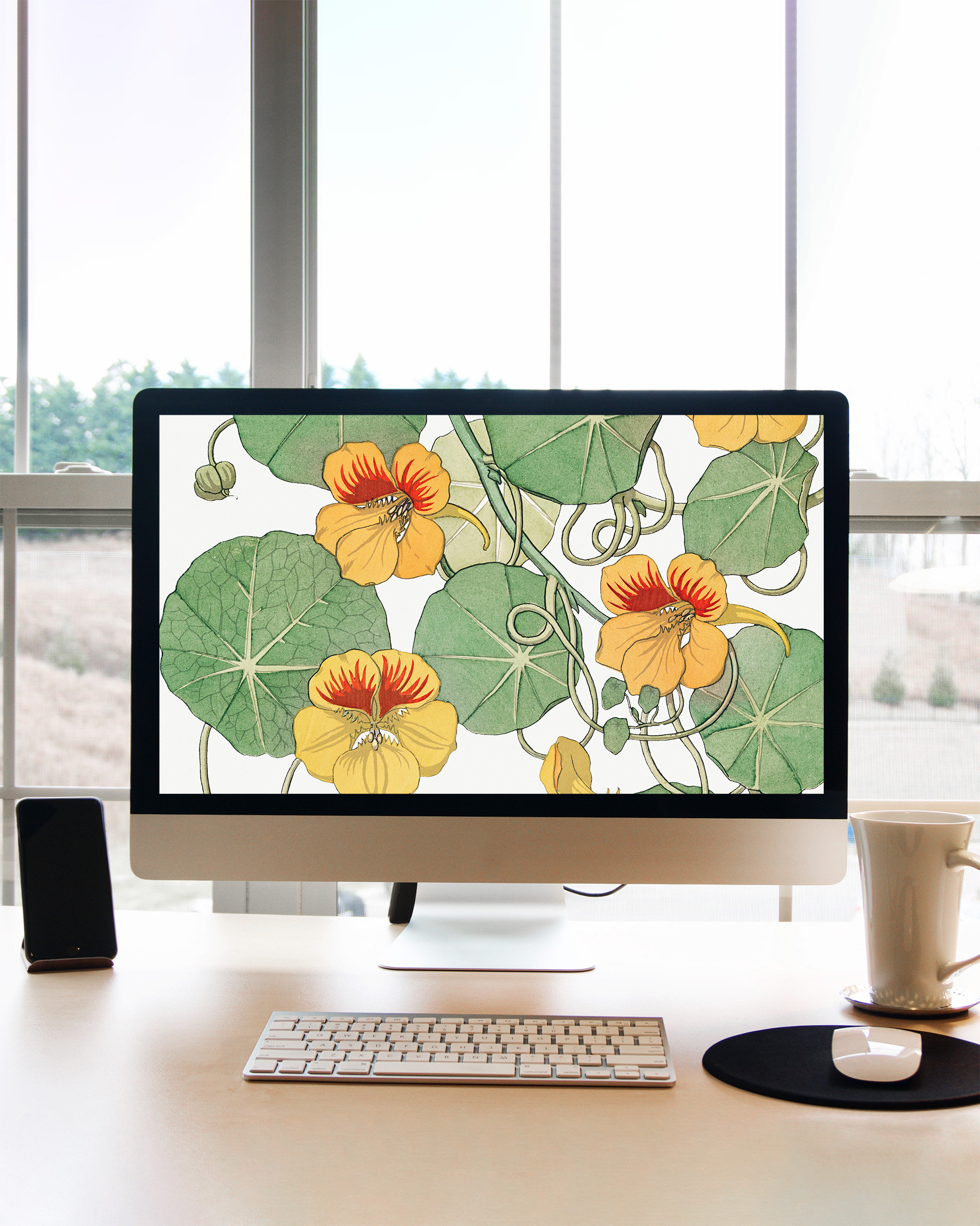 Decorative Computer Monitor Frame