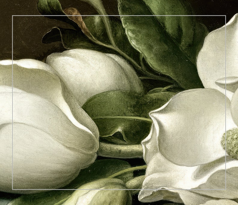Magnolia Floral Still Life Digital Download, Moody Vintage Botanical ...
