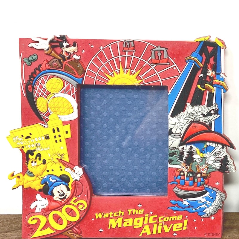 Disneyland 8x10 Picture Frames - Etsy