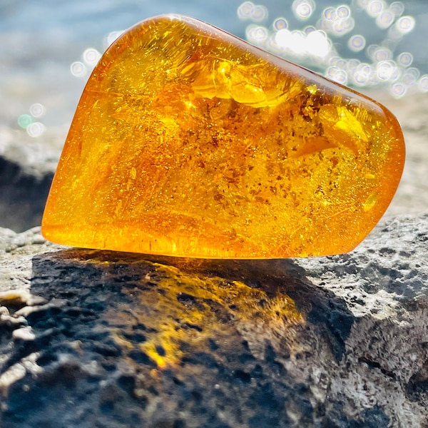 Amber Stone With Insect - Etsy