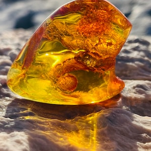 Stunning Natural Honey Amber With Fossil Inclusions, Natural Baltic ...