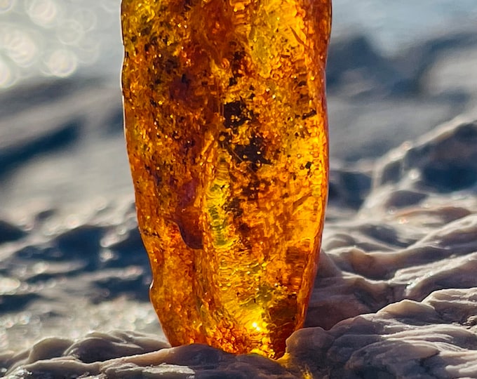 Natural Honey Amber With Fossil Moss, Natural Baltic Amber , Raw Amber ...