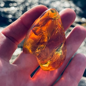 Stunning Natural Honey Amber With Fossil Inclusions, Natural Baltic ...