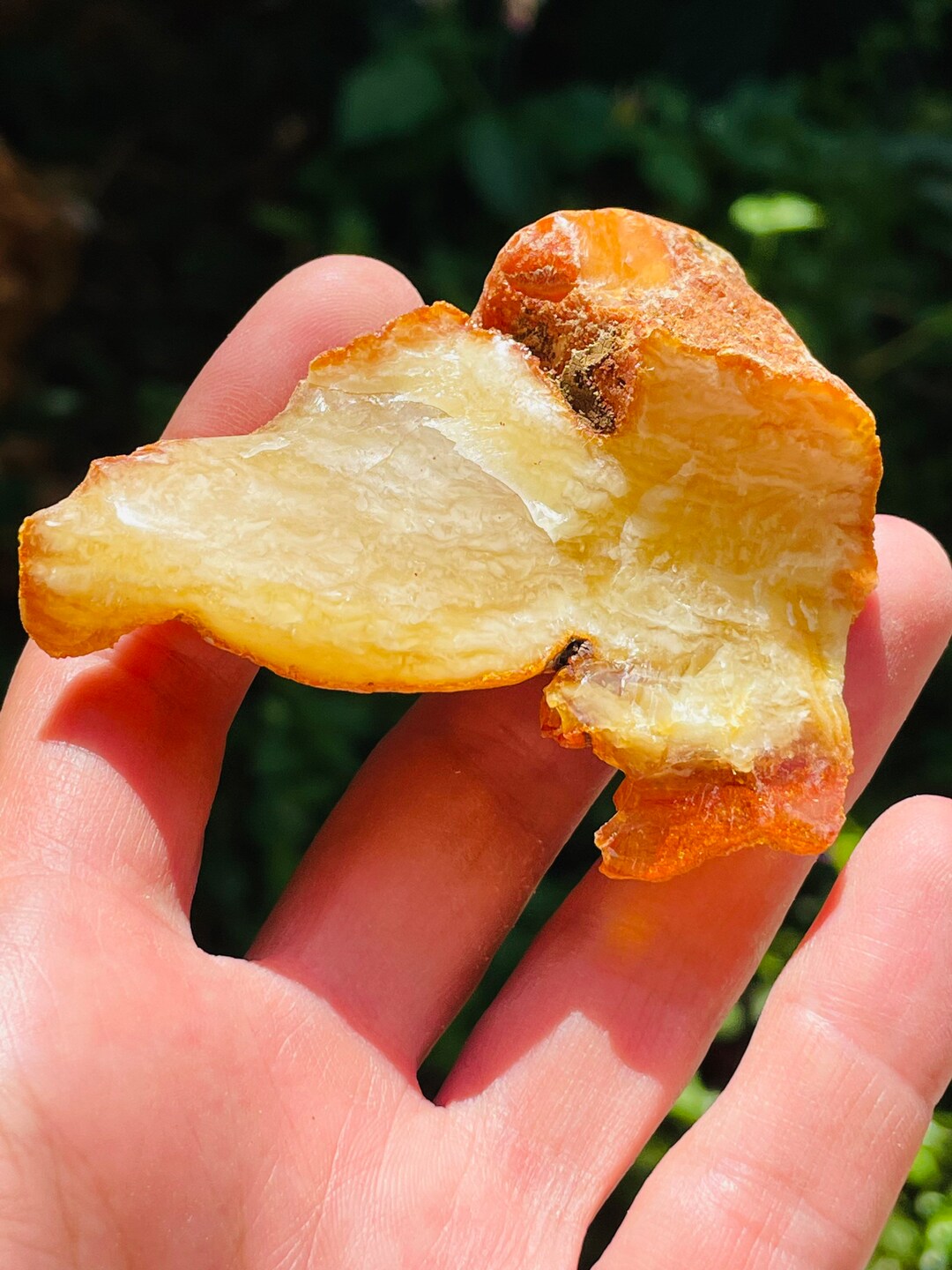 Raw White Amber , Beauty of Nature, Landscape Amber Stone , Raw ...