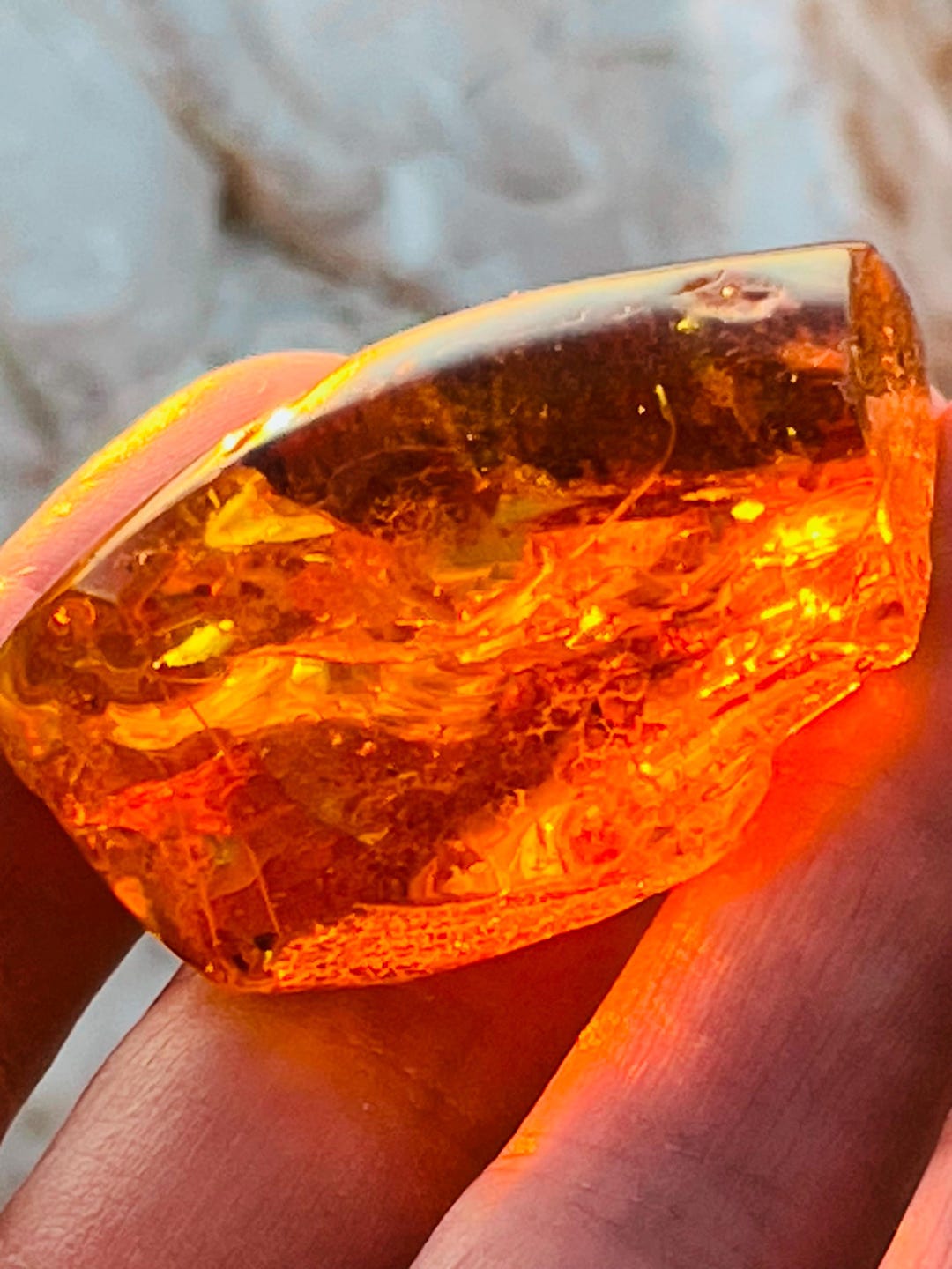 Natural Amber With Fossil Insects and Inclusions , LARGE Raw Amber, Amber Stone , Raw Amber ...