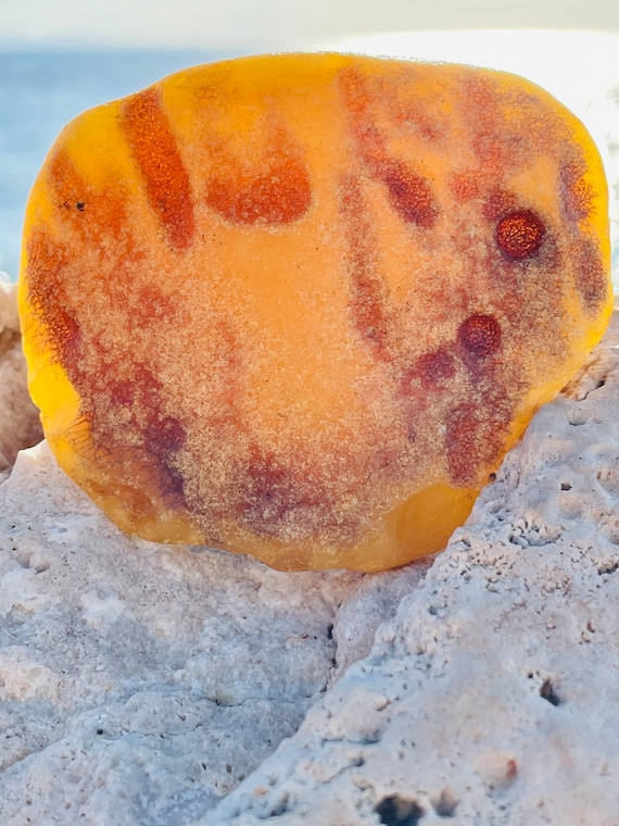 huge raw landscape amber - Gem