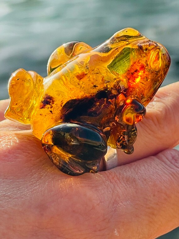 Amber Fossils Frog