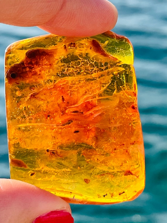 10 Fossil Insects , Unique Natural Amber Stone with N… - Gem