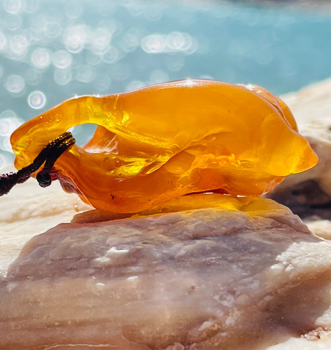 Handcarved Baltic Amber Dolphin Pendant - Etsy