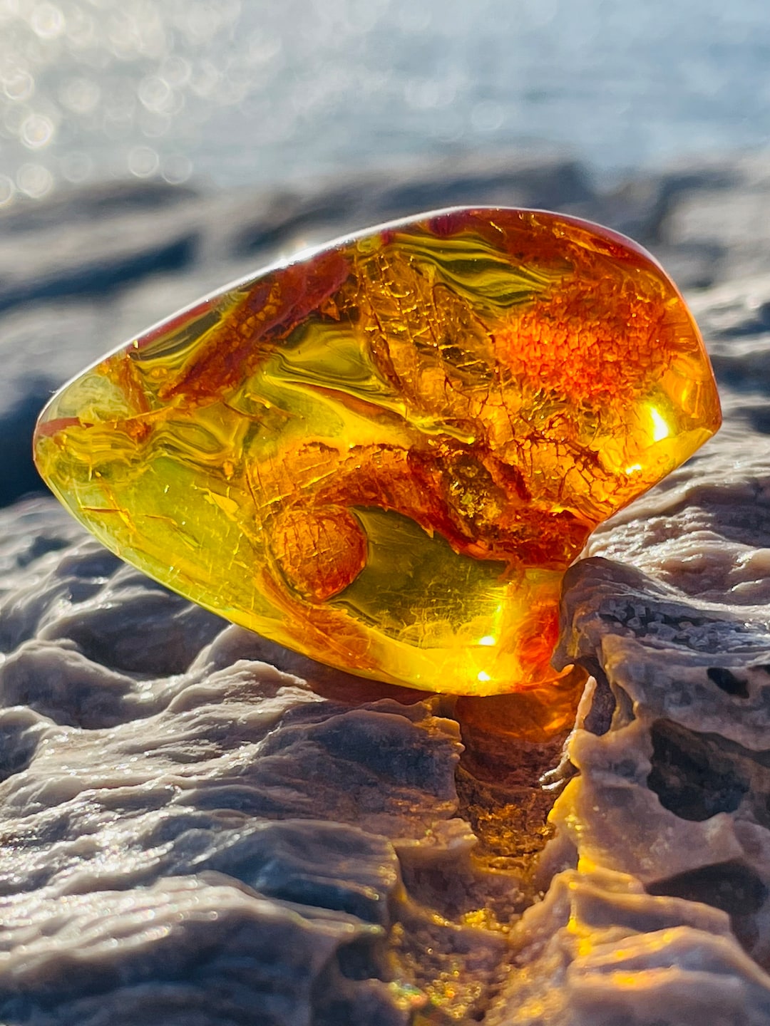 Stunning Natural Honey Amber With Fossil Inclusions, Natural Baltic Amber , Raw Amber Stone With ...