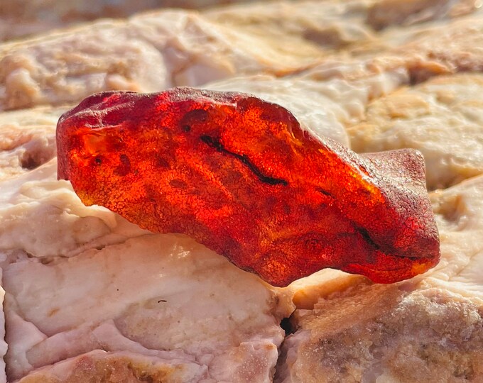 Natural Honey Amber With Fossil Moss, Natural Baltic Amber , Raw Amber ...