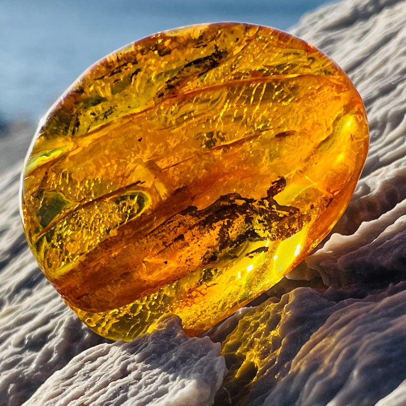 Amber With Insect - Etsy