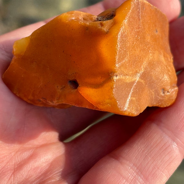 Butterscotch Amber - Etsy