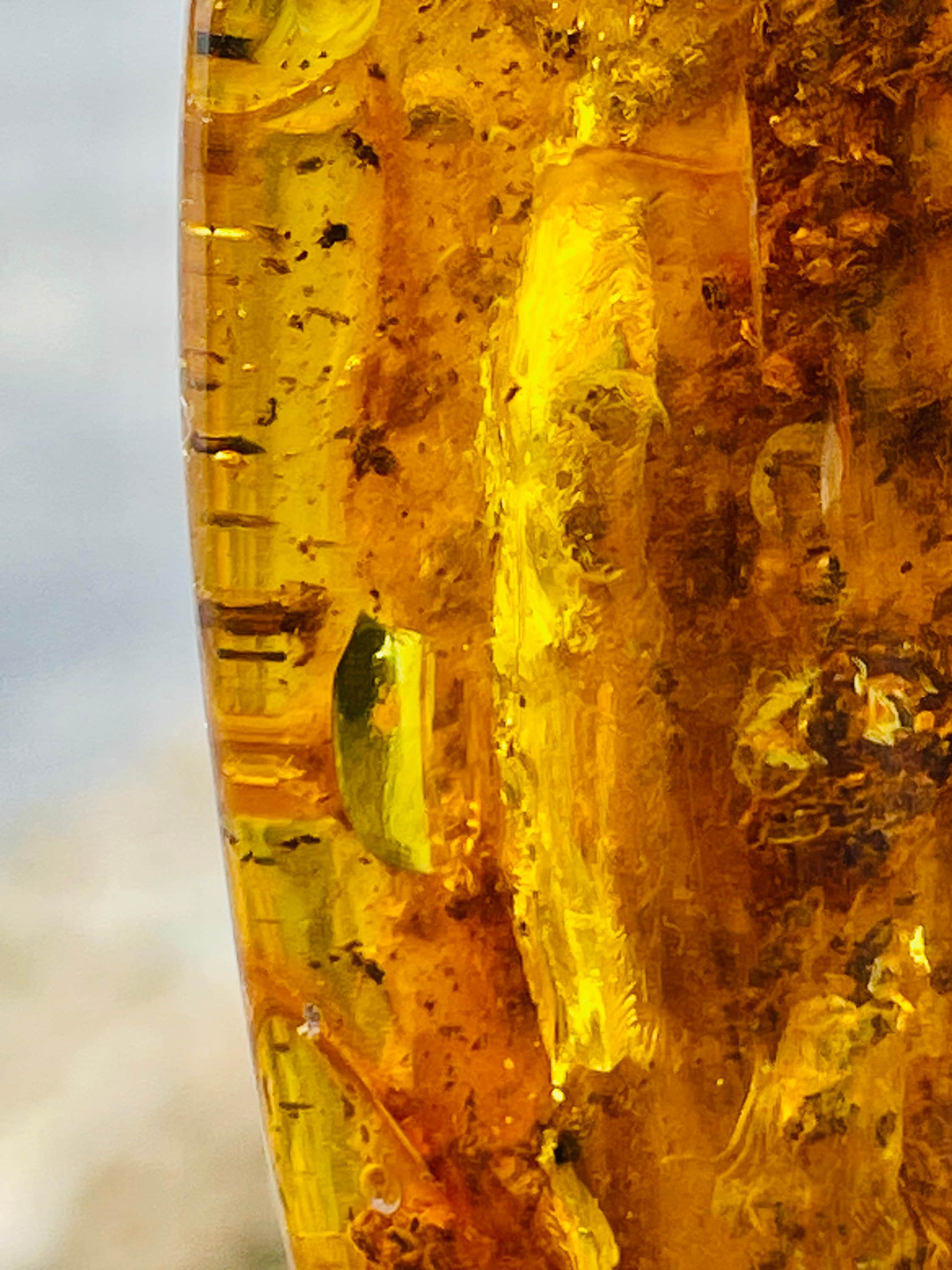 Huge Amber Pendant With Inclusions large Amber Pendant With - Etsy