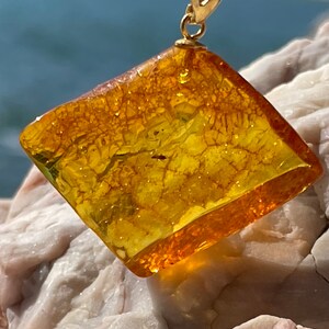 Rare Amber Pendant With Fossil Fly ,sparkling Amber Pendant With ...