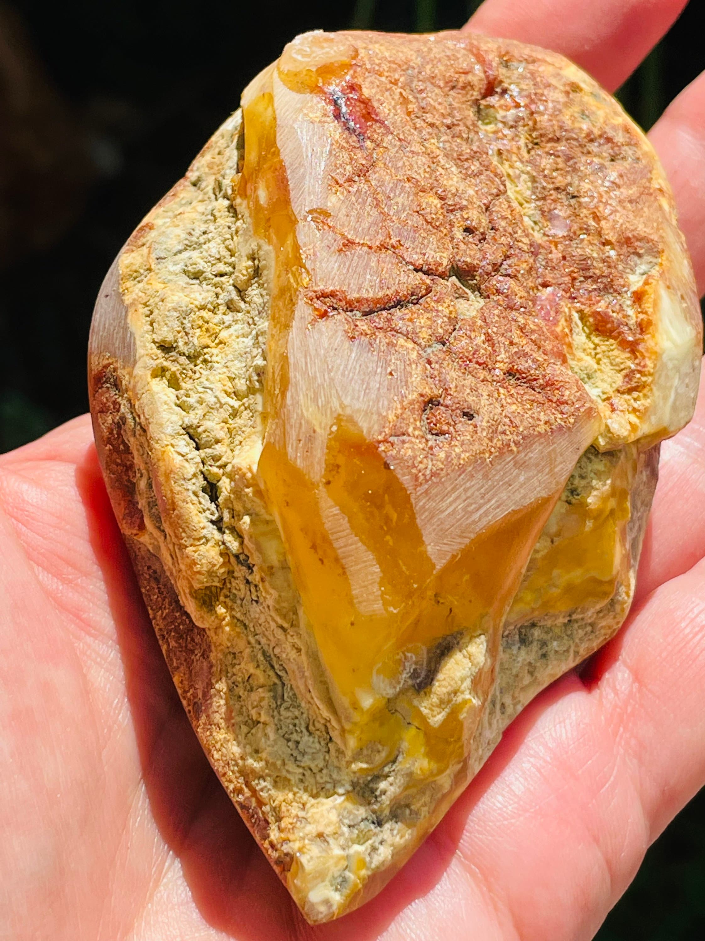 HUGE Amber Stone Natural Amber Stone Landscape Amber Stone - Etsy