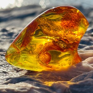 Stunning Natural Honey Amber With Fossil Inclusions, Natural Baltic ...