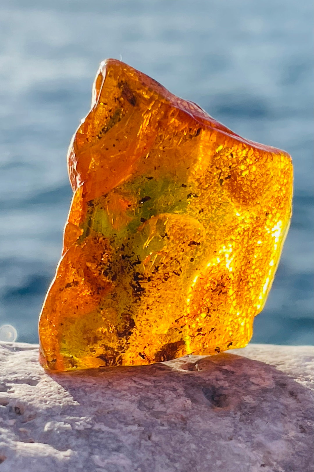 Natural Fossil Fly in Amber, Natural Baltic Amber, Natural Amber Stone ...