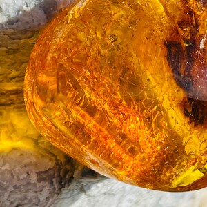 Amazing Amber Pendant , Unique Natural Amber Pendant With Natural ...