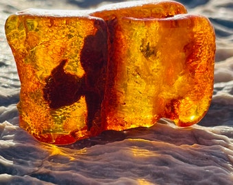 Natural Honey Amber With Fossil Moss, Natural Baltic Amber , Raw Amber ...